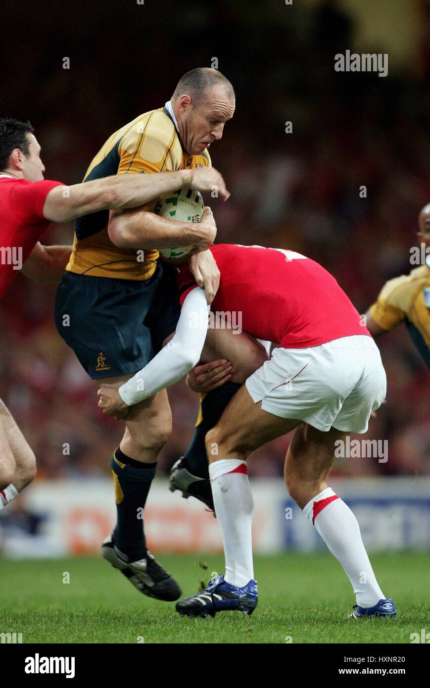 STIRLING MORTLOCK & JAMES HOOK WALES RU V AUSTRALIA RU MILLENNIUM ...