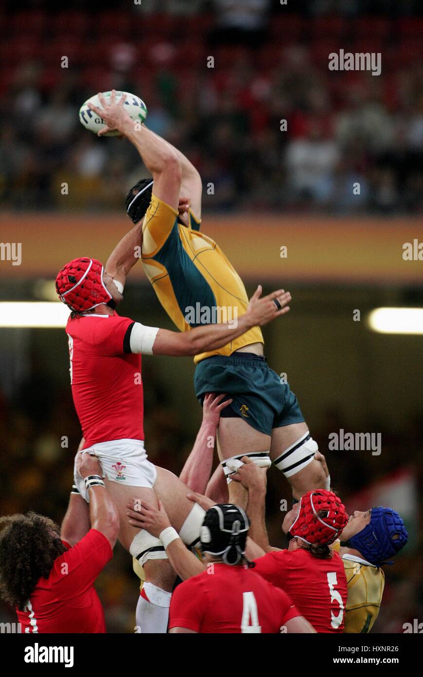 J THOMAS & DANIEL VICKERMAN WALES RU V AUSTRALIA RU MILLENNIUM STADIUM ...