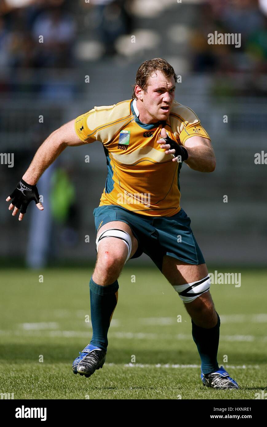 Rocky elsom hi-res stock photography and images - Alamy