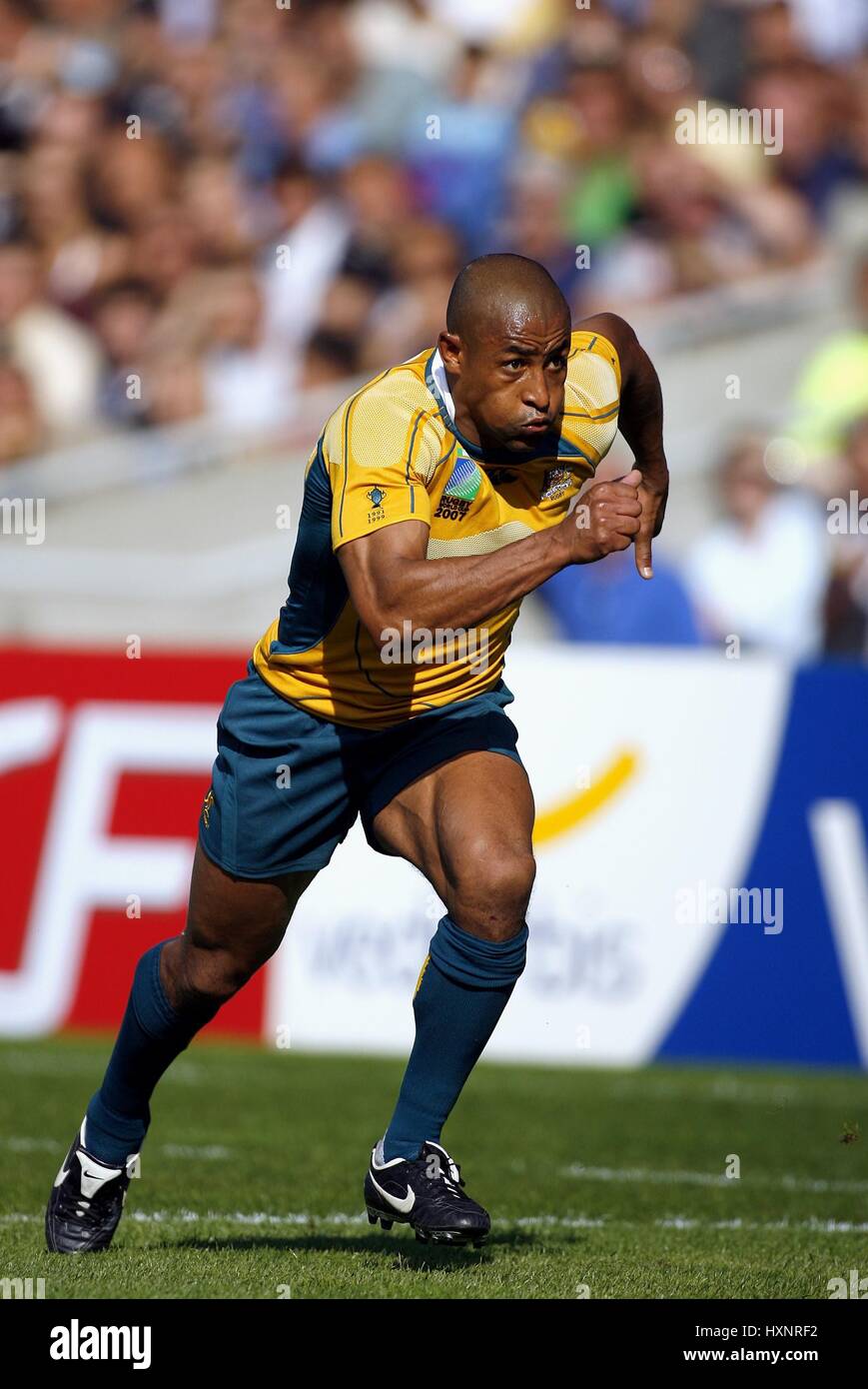 George gregan of australia hi-res stock photography and images - Alamy