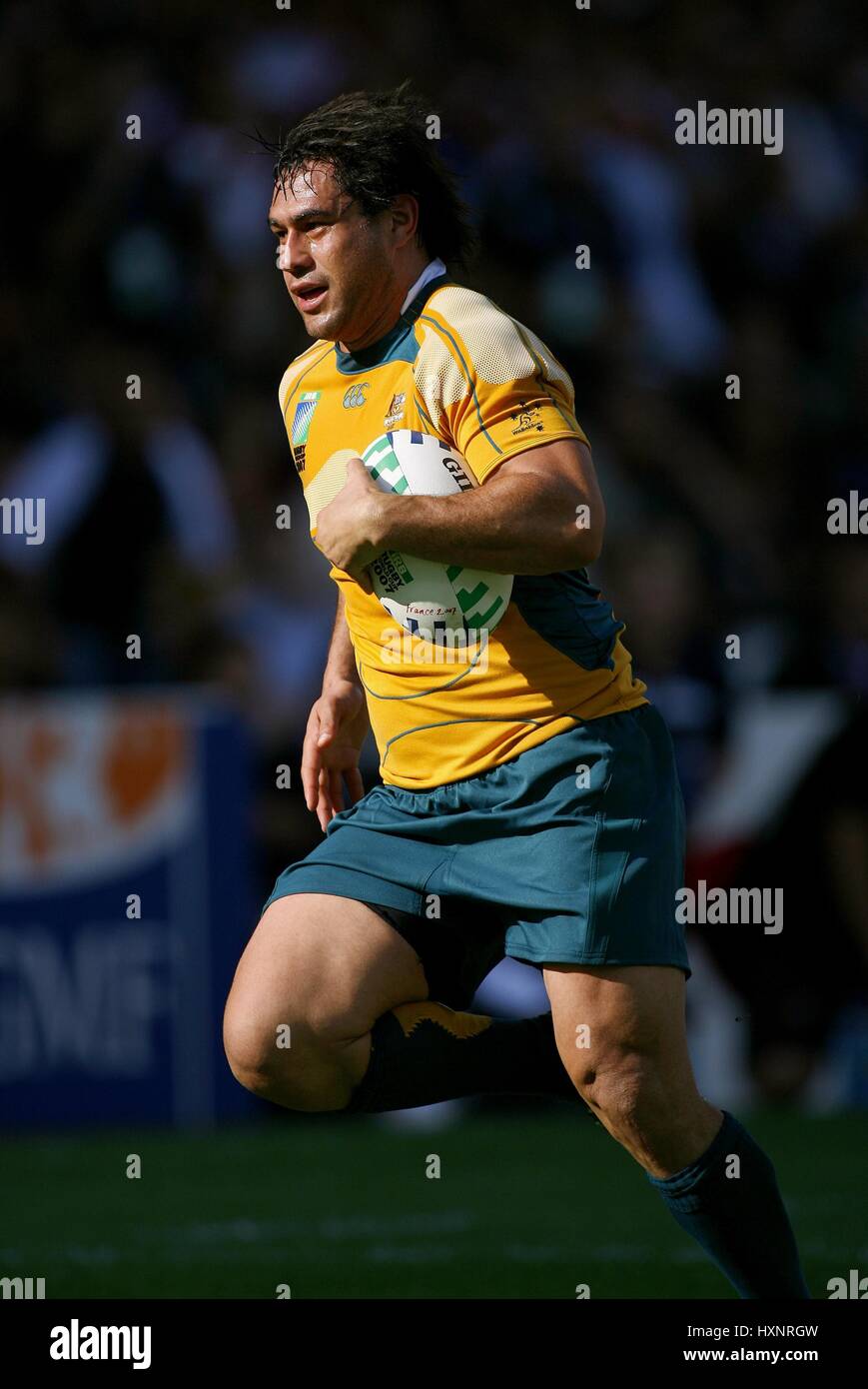 George smith australia rugby hi-res stock photography and images - Alamy