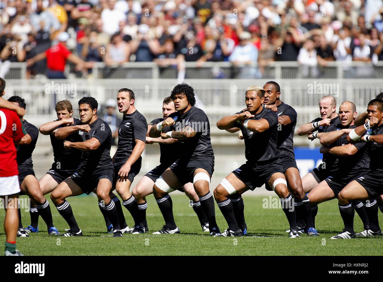 NEW ZEALAND 'HAKA' NEW ZEALAND RU STADE GERLAND LYON FRANCE 15 ...