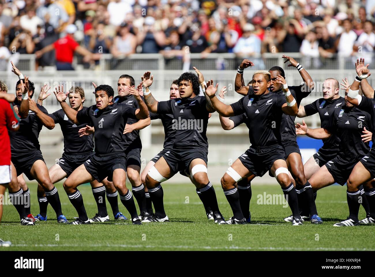 All Blacks Haka Tongue