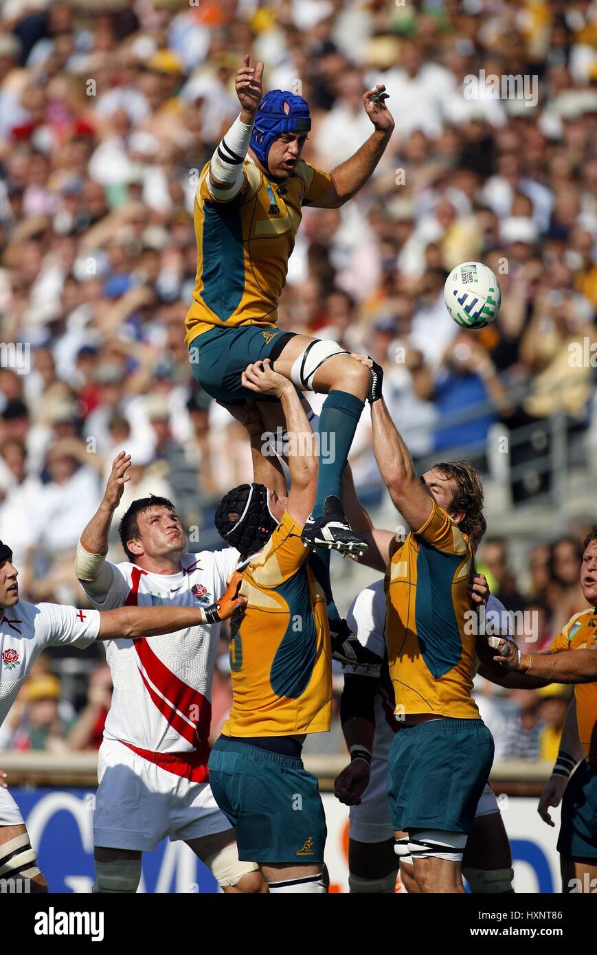 NATHAN SHARPE WINS LINE-OUT AUSTRALIA V ENGLAND STADE VELODROME ...