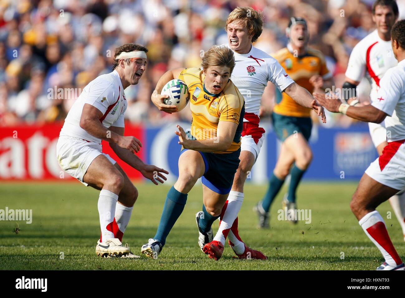 Matthew mitchell hi-res stock photography and images - Alamy