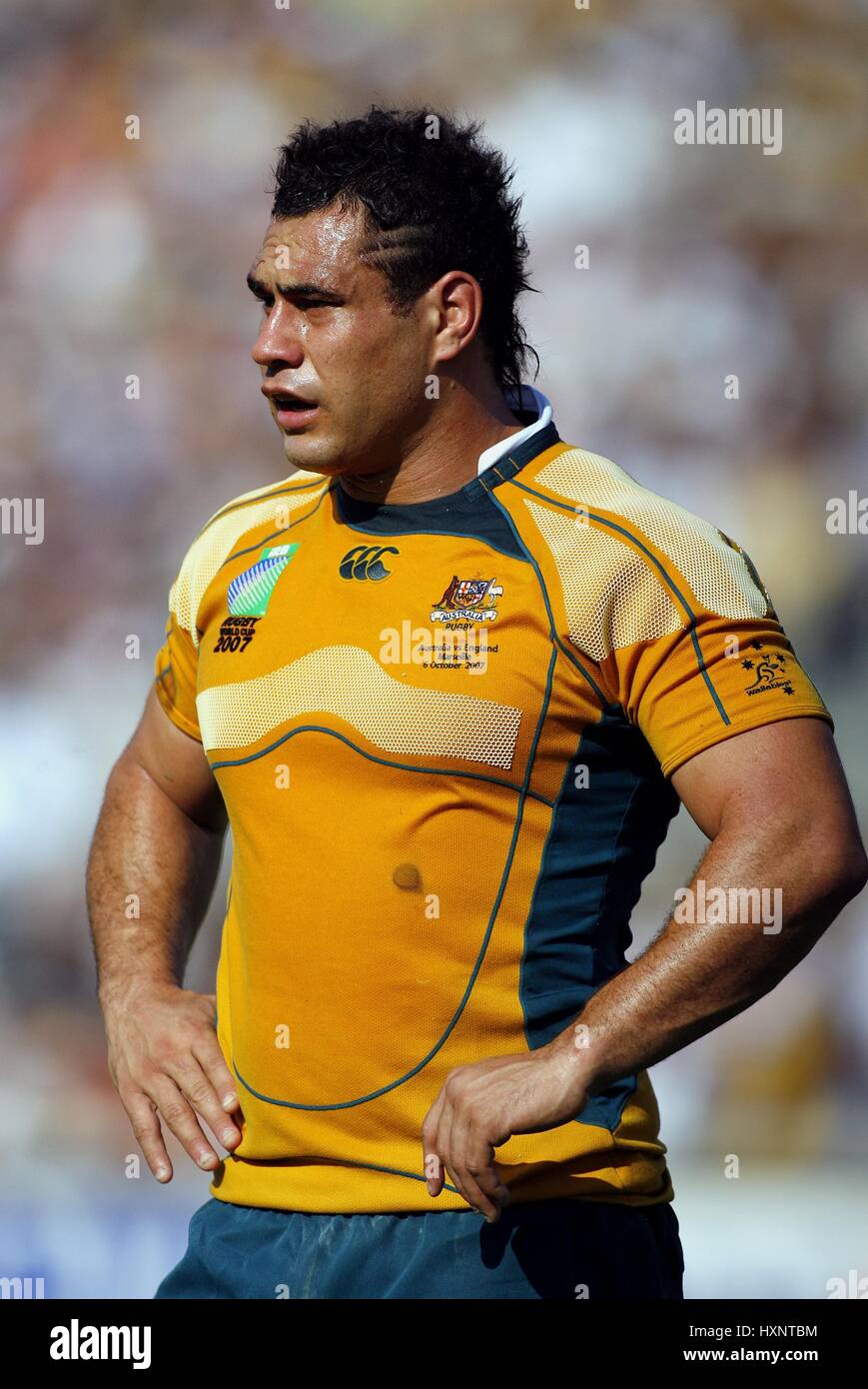 George smith australia rugby hi-res stock photography and images - Alamy