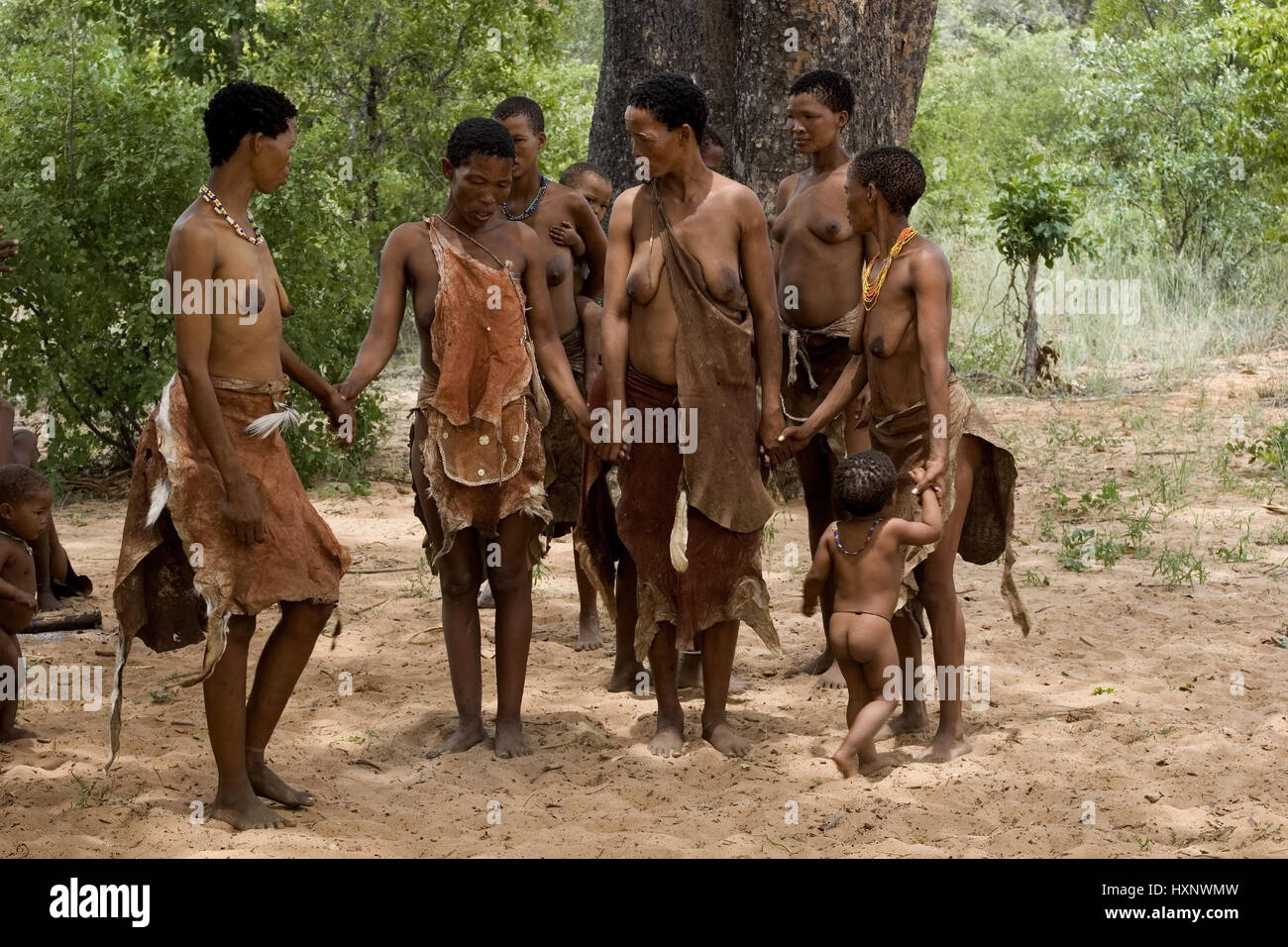 Bushman dancing hi-res stock photography and images - Alamy