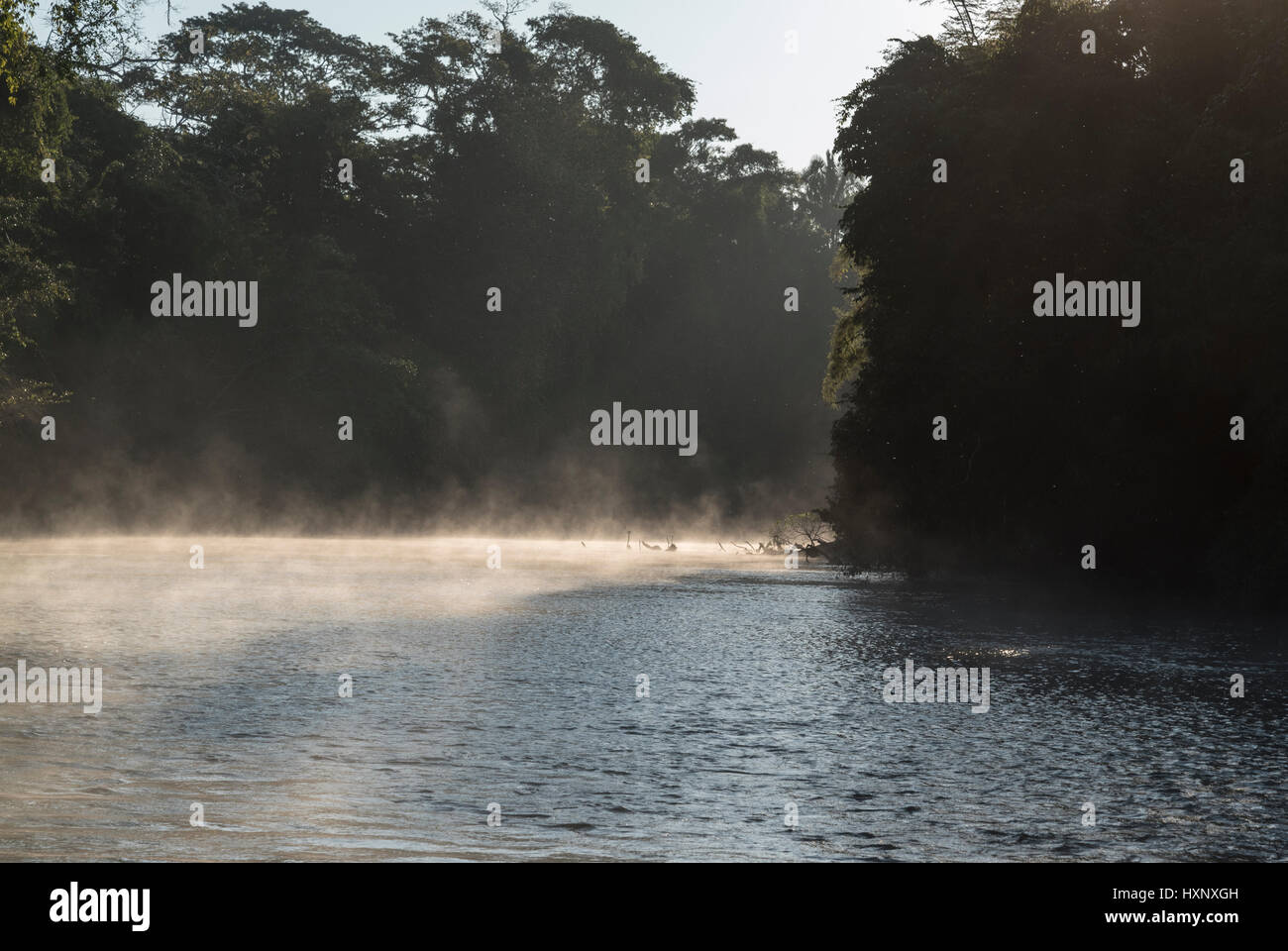 A bend in a rainforest river sunlit by the rising sun and highlighting ...