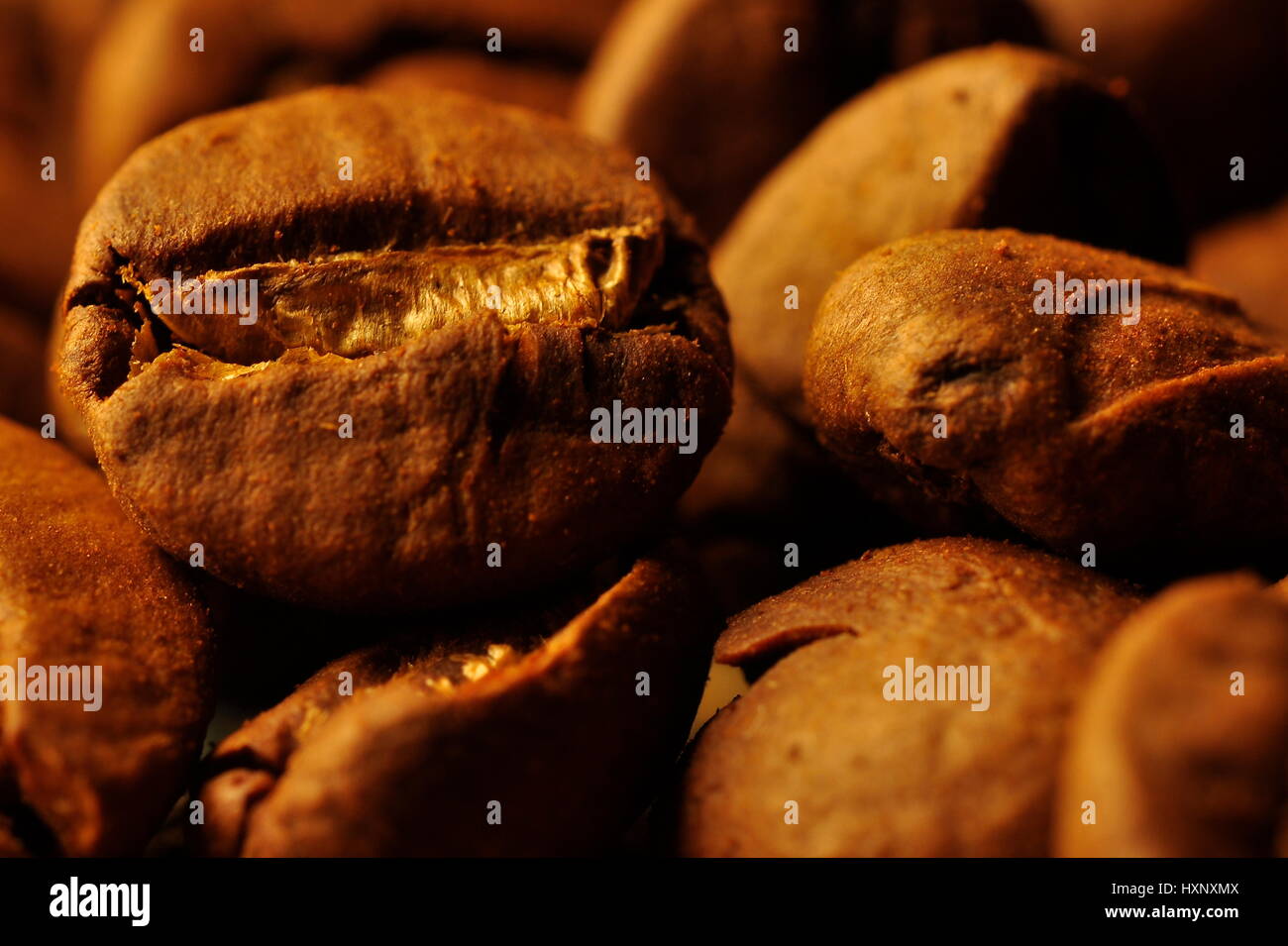 Coffee beans macro photography Stock Photo - Alamy