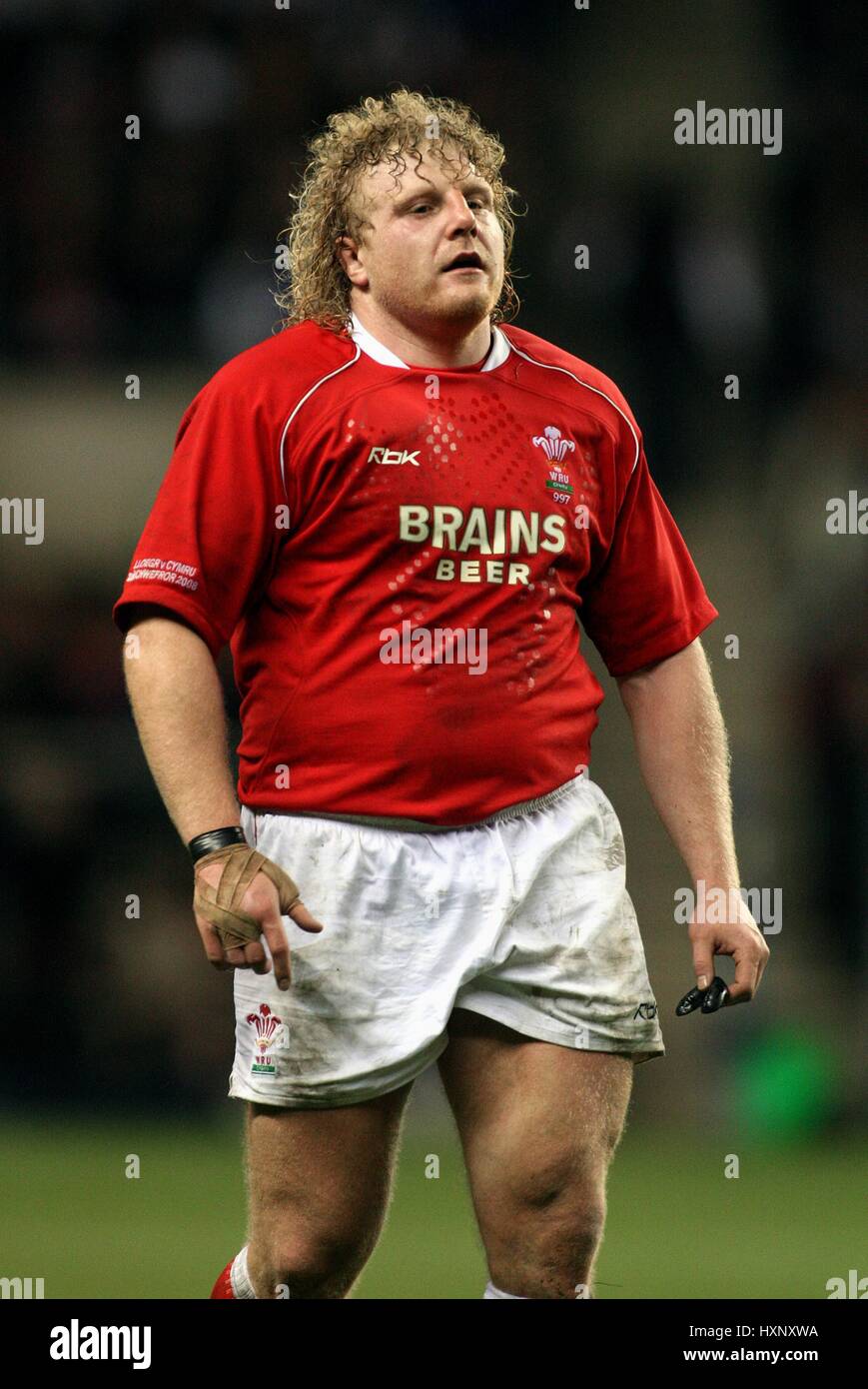 Ospreys duncan jones hi-res stock photography and images - Alamy