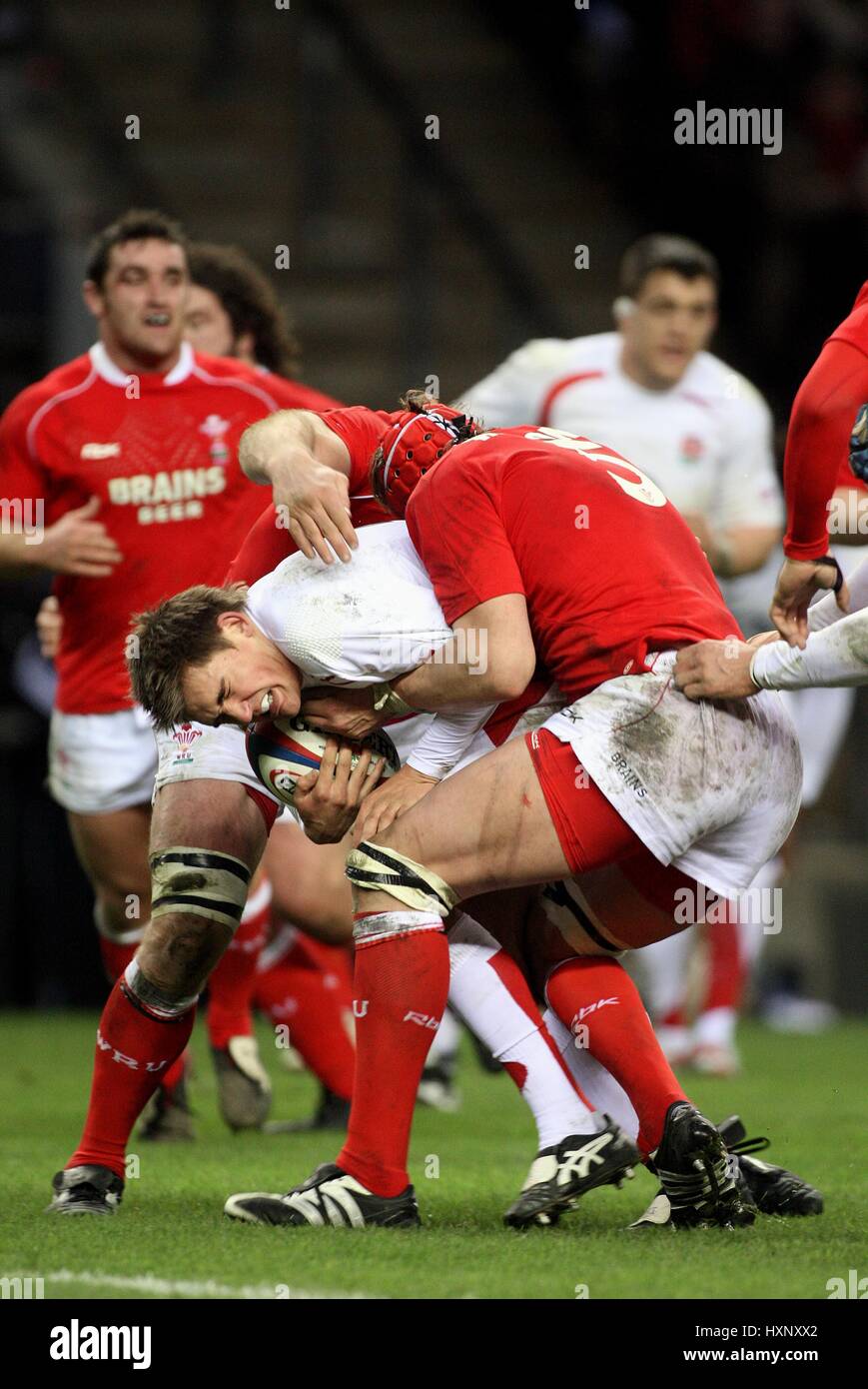 Alun wyn jones wales 2008 hi-res stock photography and images - Alamy