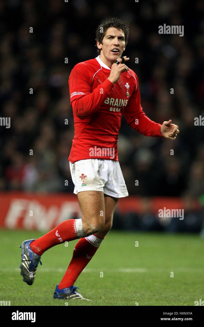 James hook rugby wales hi-res stock photography and images - Alamy
