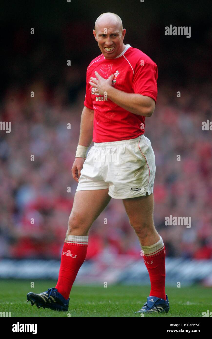 Tom shanklin hi-res stock photography and images - Alamy
