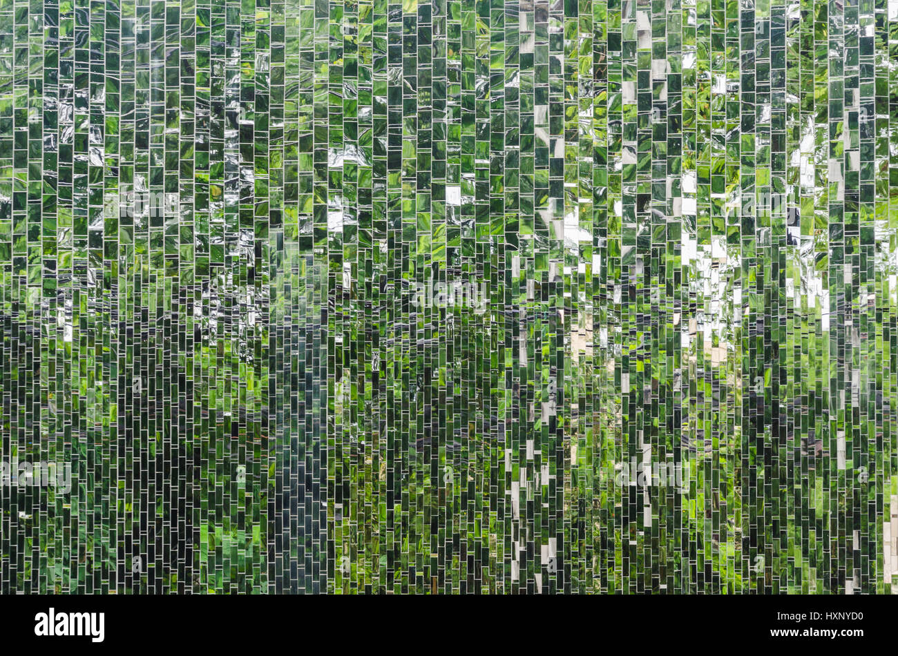 Abstract background green tree reflect in mirror Stock Photo - Alamy