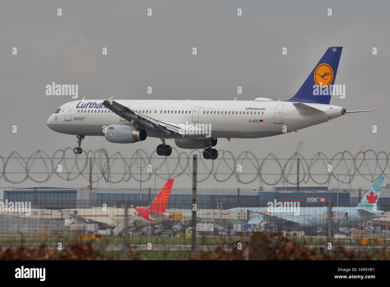 Lufthansa airbus a321 landing at heathrow airport hi-res stock ...