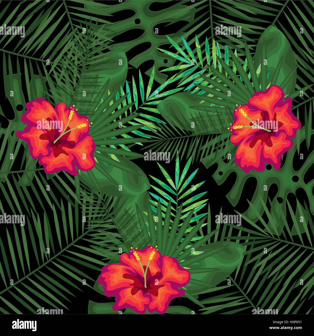 tropical flowers decorative card Stock Vector Image & Art - Alamy