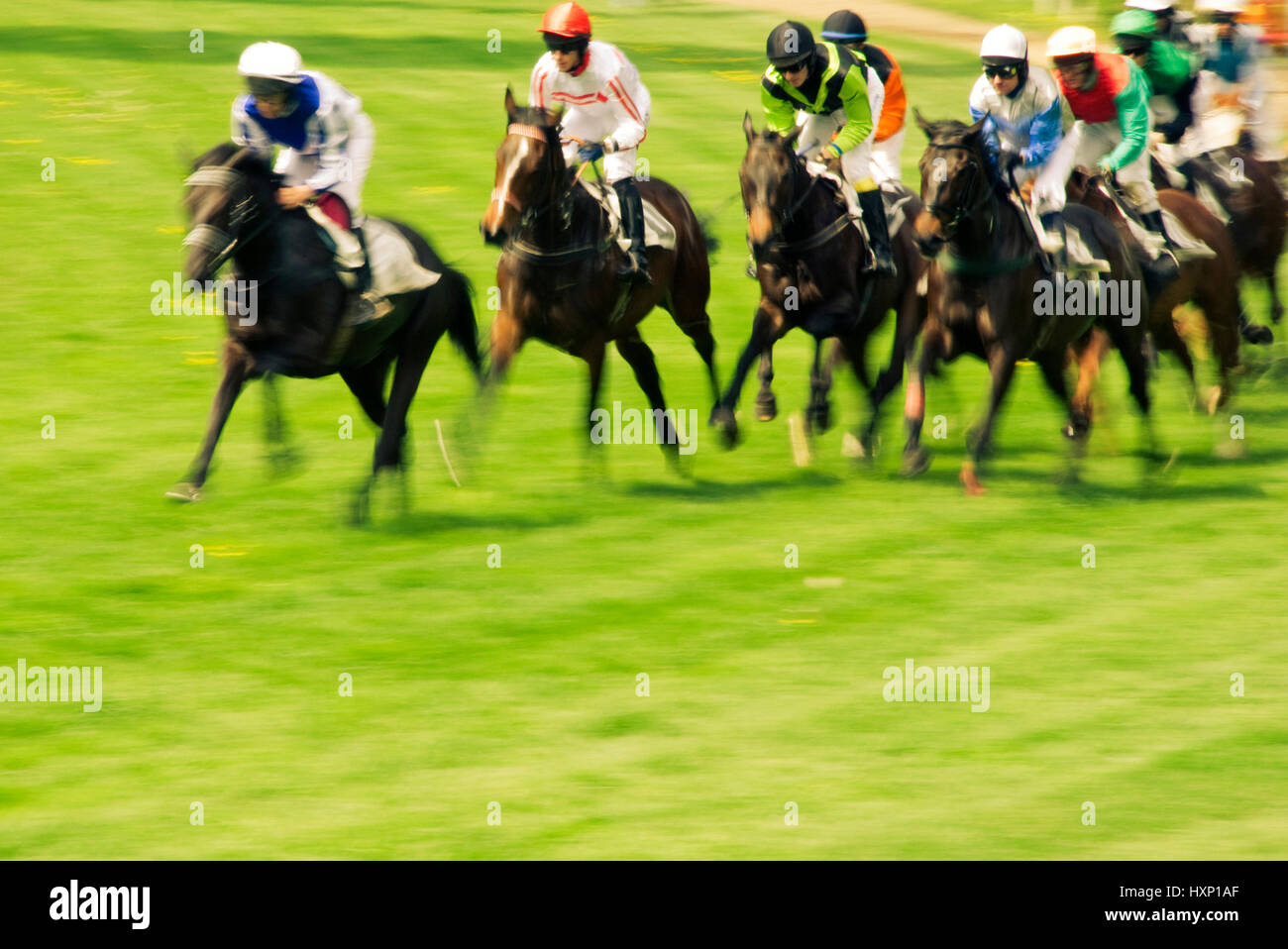 Race final horses hi-res stock photography and images - Alamy