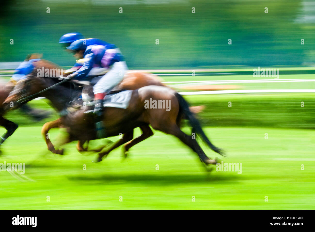 final sprint of an horse race Stock Photo - Alamy