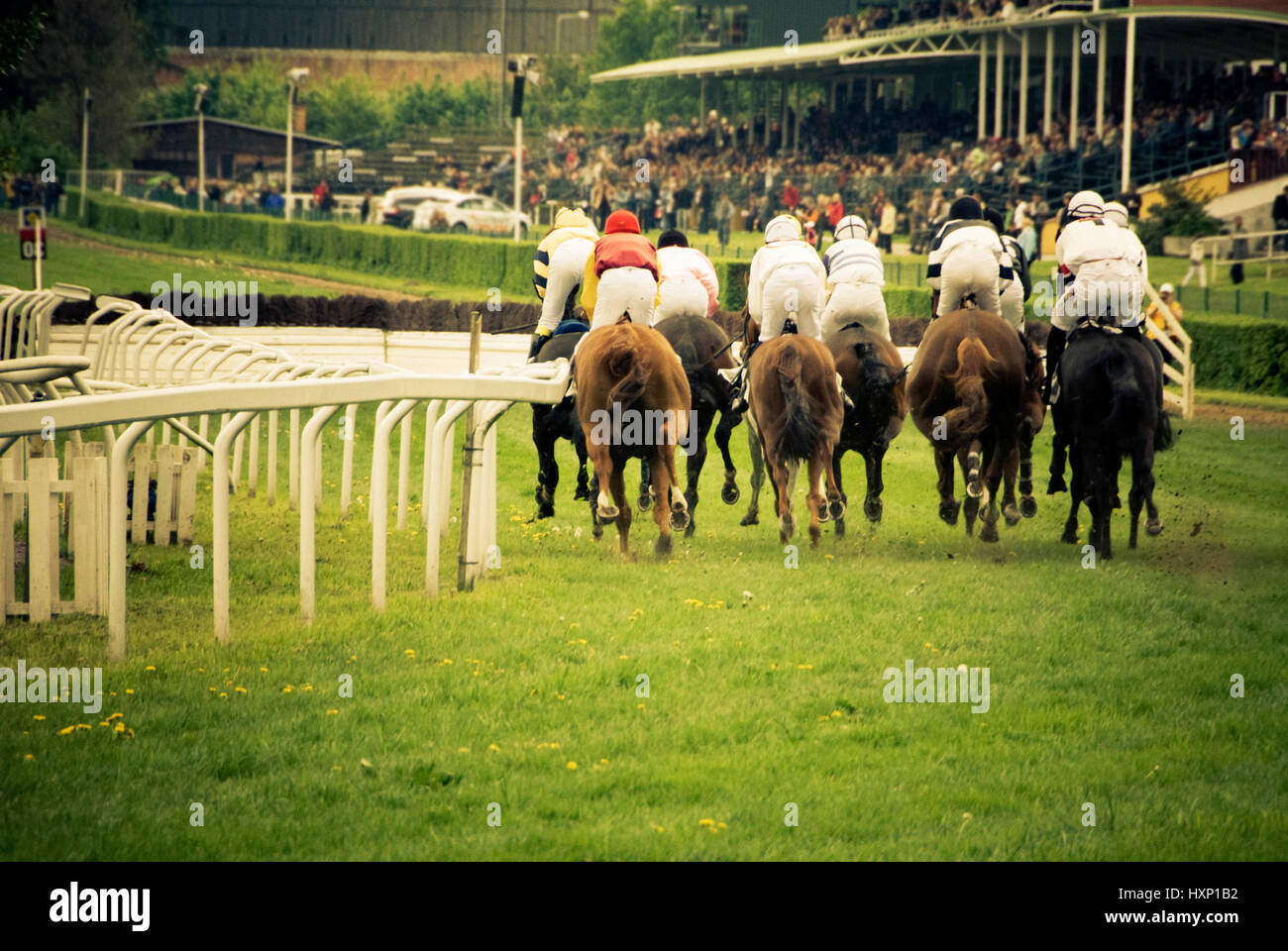 final sprint of an horse race Stock Photo - Alamy