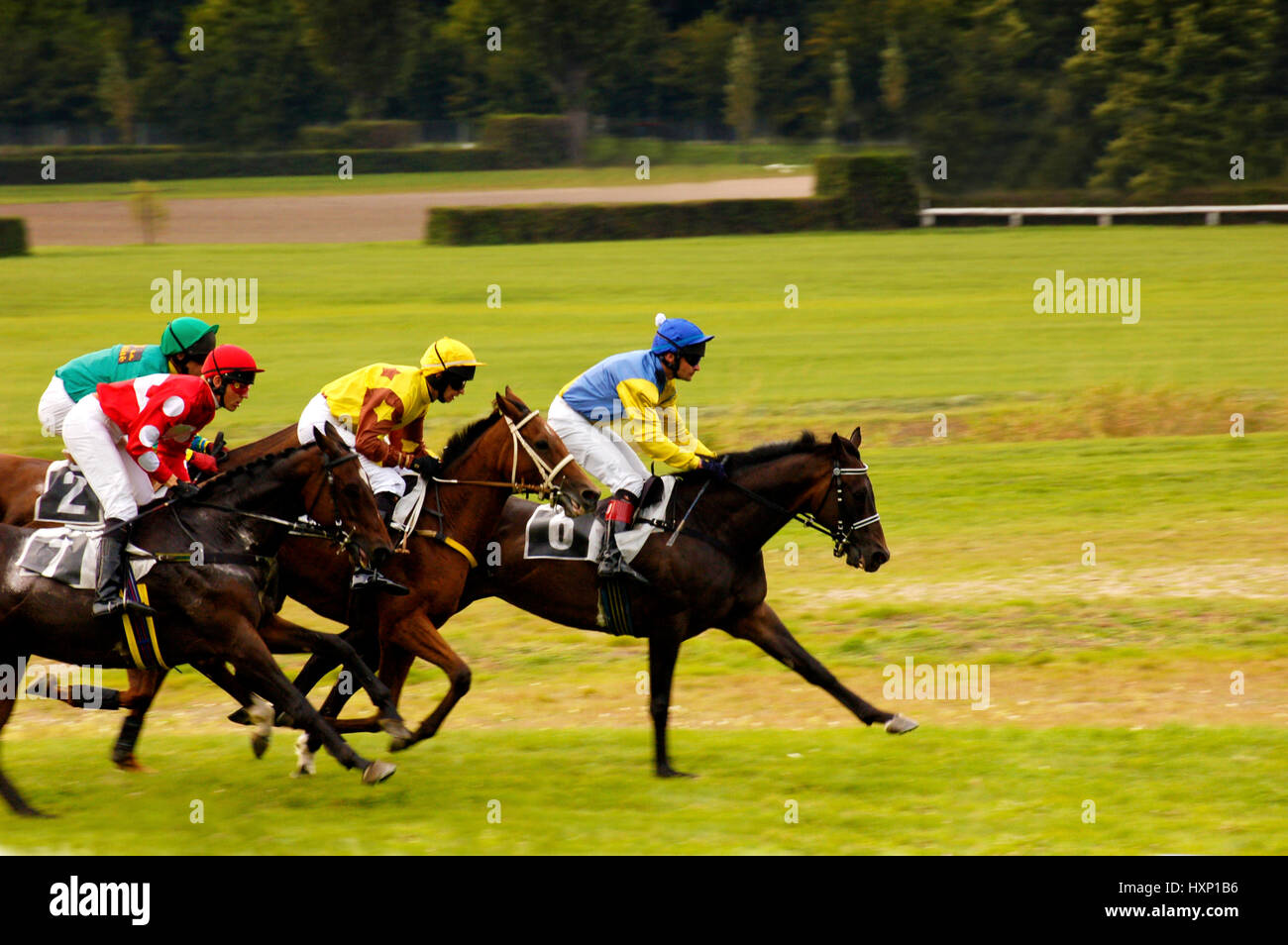 Racehorse sprint to finish hi-res stock photography and images - Alamy