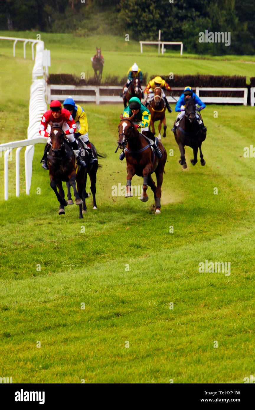 final sprint of a steeplechase horse race Stock Photo - Alamy