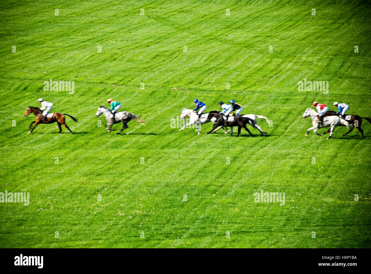 jockeys launching horses at full speed during a steeplechase horse race ...
