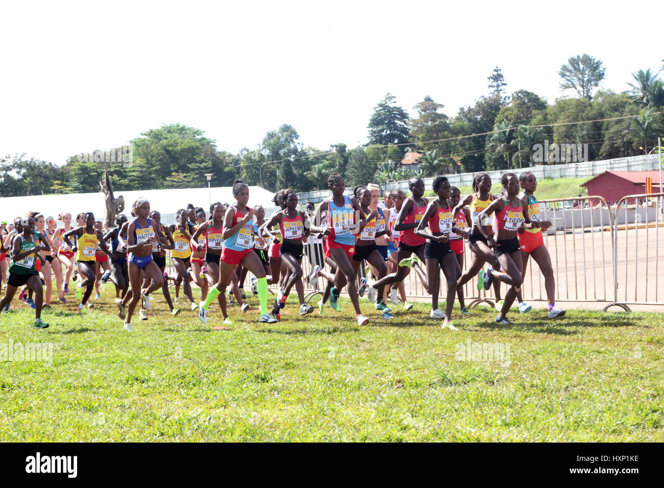 Athletes battle it out during the IAAF World Cross Country ...