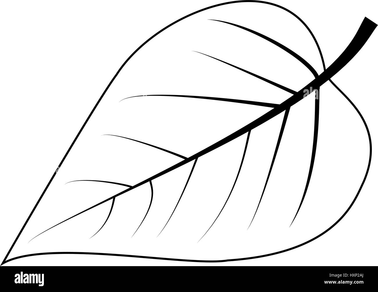 lilac - leaf vector illustration Stock Vector Image & Art - Alamy