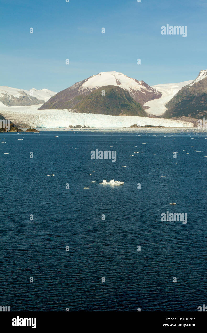 Chile - Amalia Glacier On The Edge Of The Sarmiento Channel - Skua ...