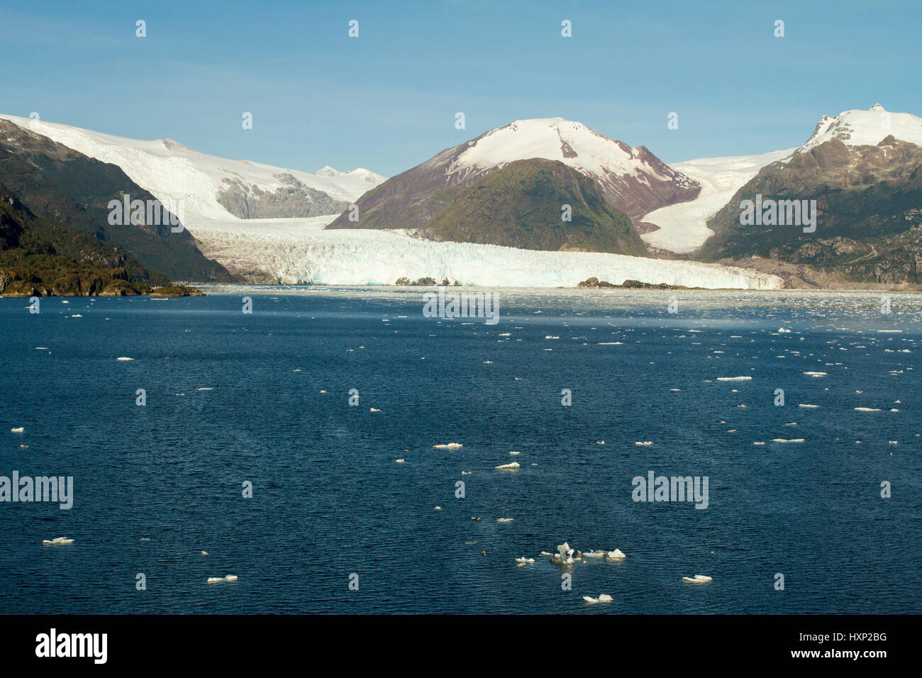 Chile - Amalia Glacier On The Edge Of The Sarmiento Channel - Skua ...