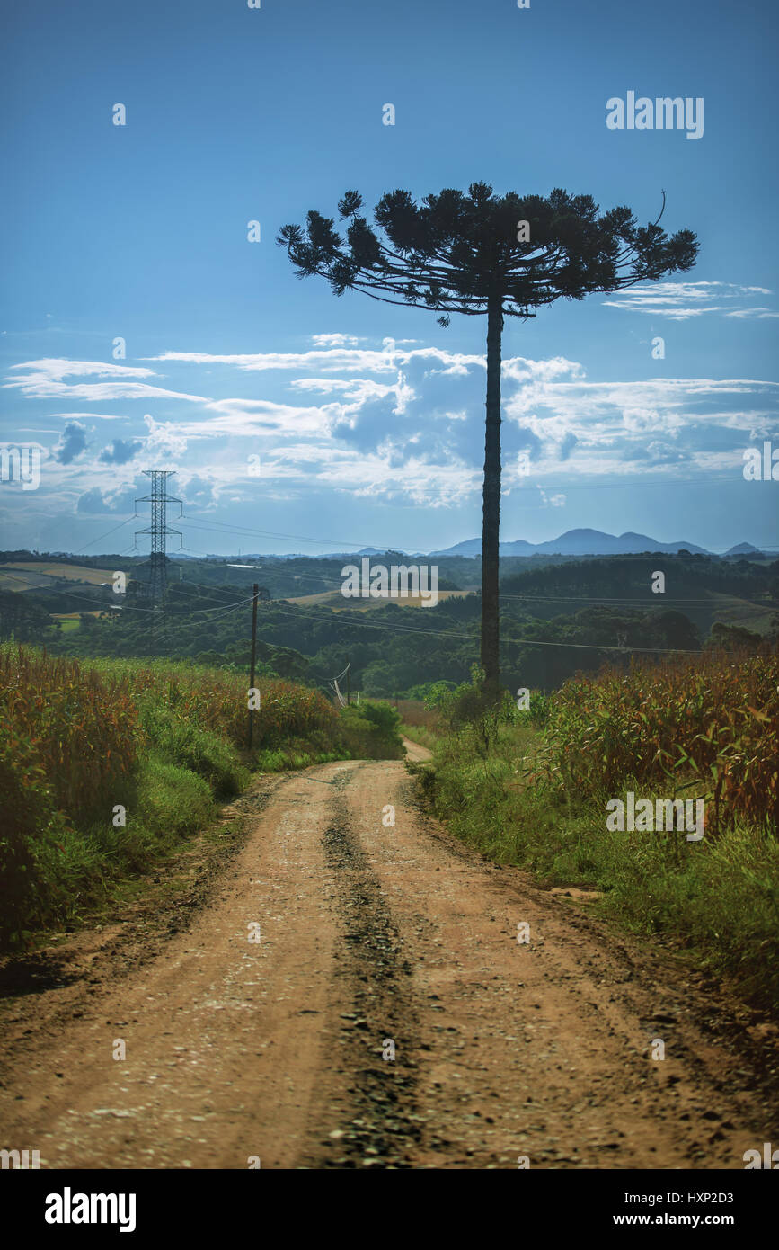 Campo Magro, in the Metropolitan Region of Curitiba, is located to the ...