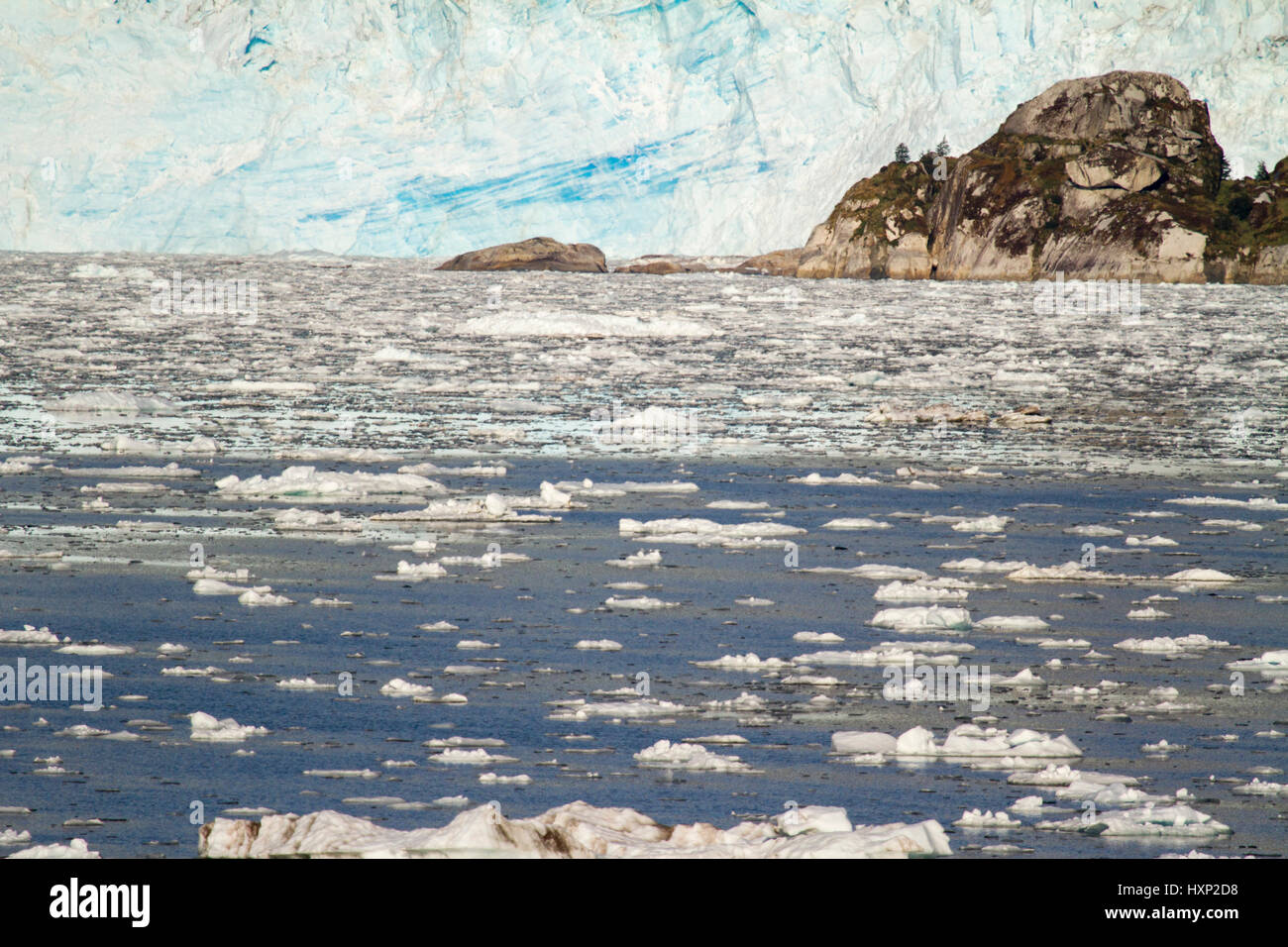 Chile - Amalia Glacier On The Edge Of The Sarmiento Channel - Skua ...