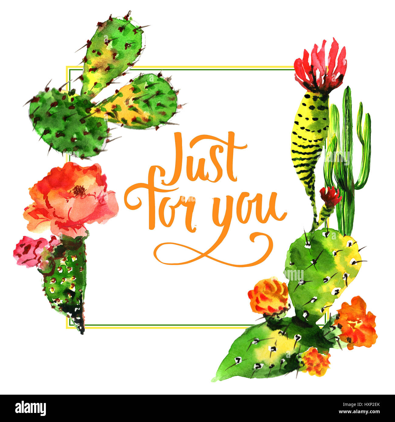 Tropical cactus tree frame in a watercolor style isolated Stock Photo ...