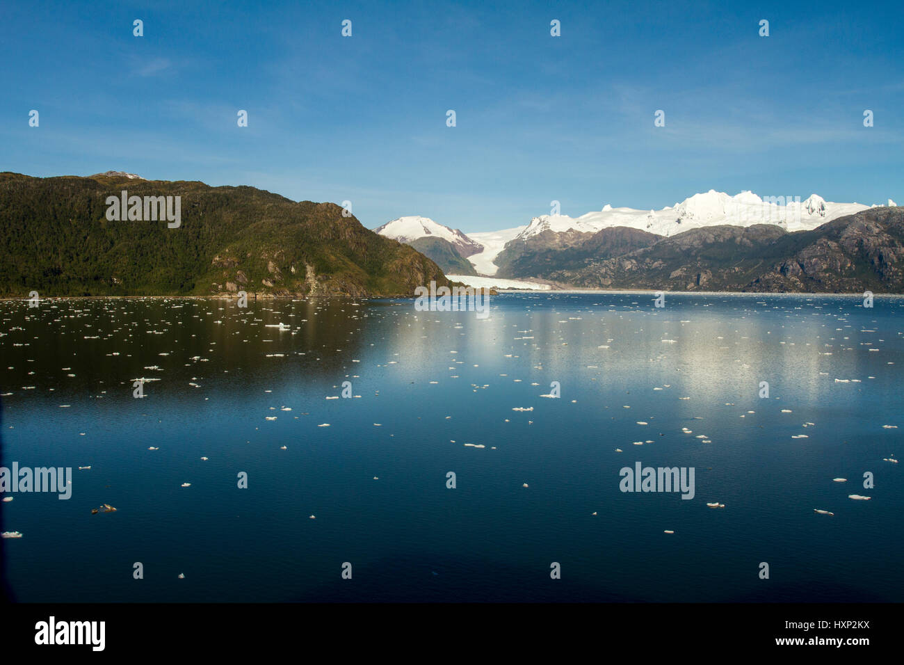 Chile - Amalia Glacier On The Edge Of The Sarmiento Channel - Skua ...