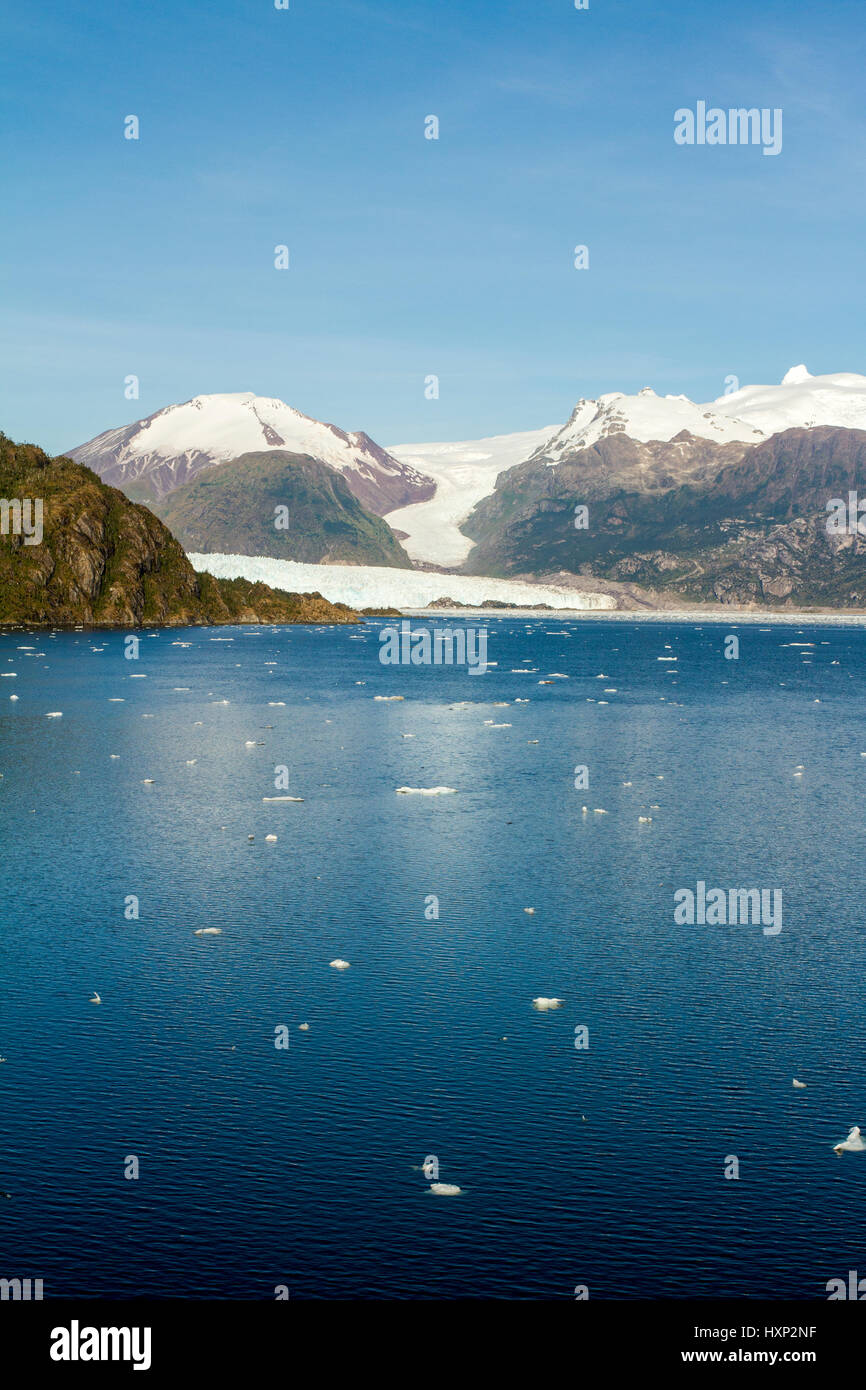 Chile - Amalia Glacier On The Edge Of The Sarmiento Channel - Skua ...