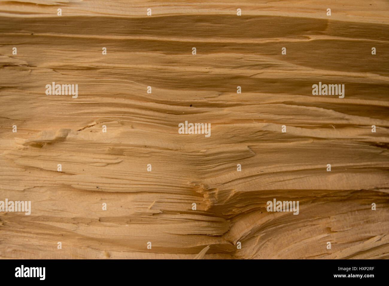 macro photo of texture of chopped wood Stock Photo - Alamy