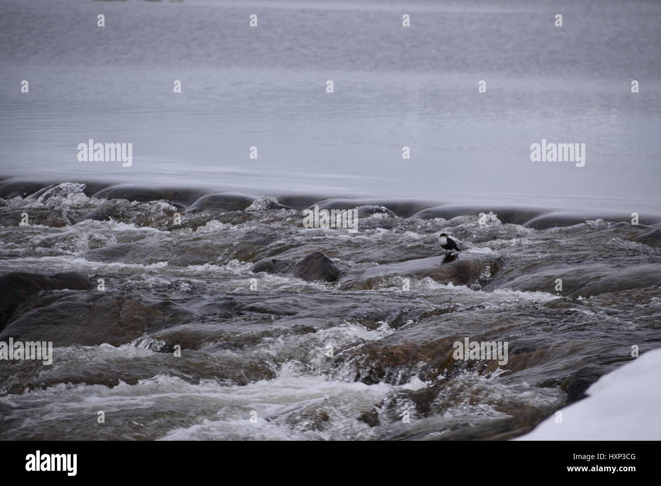 River ljusnan hi-res stock photography and images - Alamy