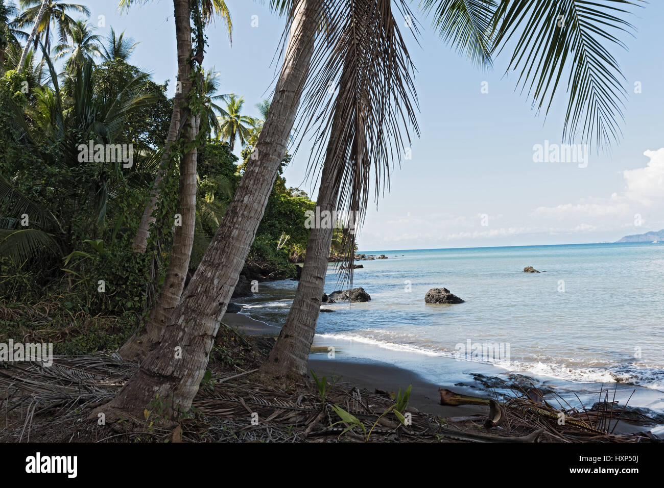 Beautiful beach at Drake Bay on the Pacific Ocean in Costa Rica Stock ...