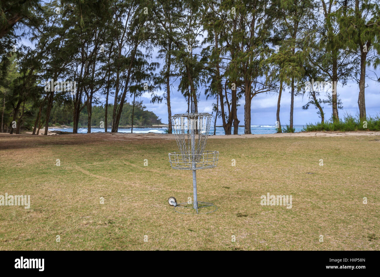 Turtle at the blue water island resort hi-res stock photography and ...