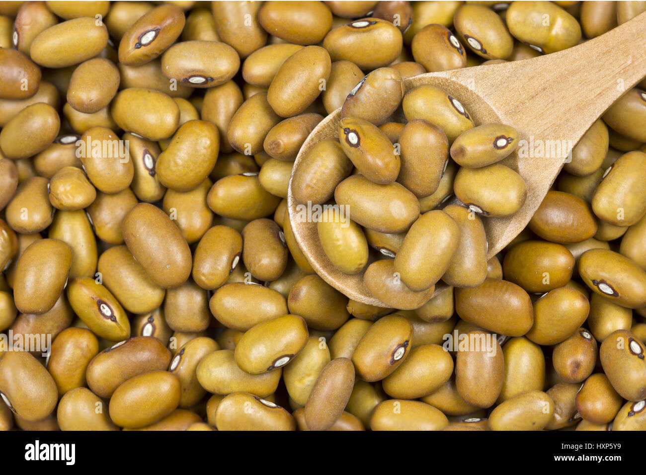 Brown beans and wooden spoon for background Stock Photo - Alamy