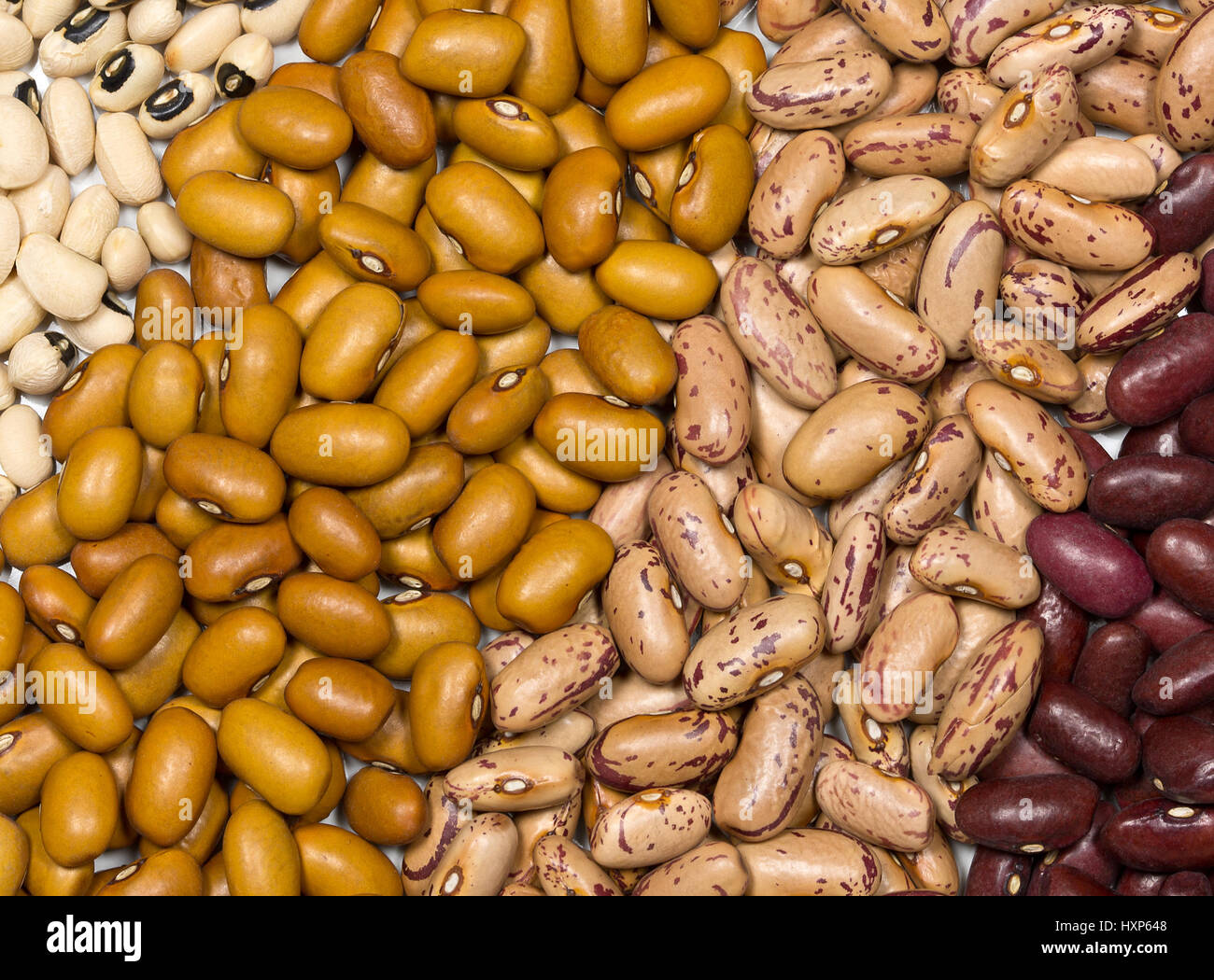 Mixed striped beans for background Stock Photo - Alamy