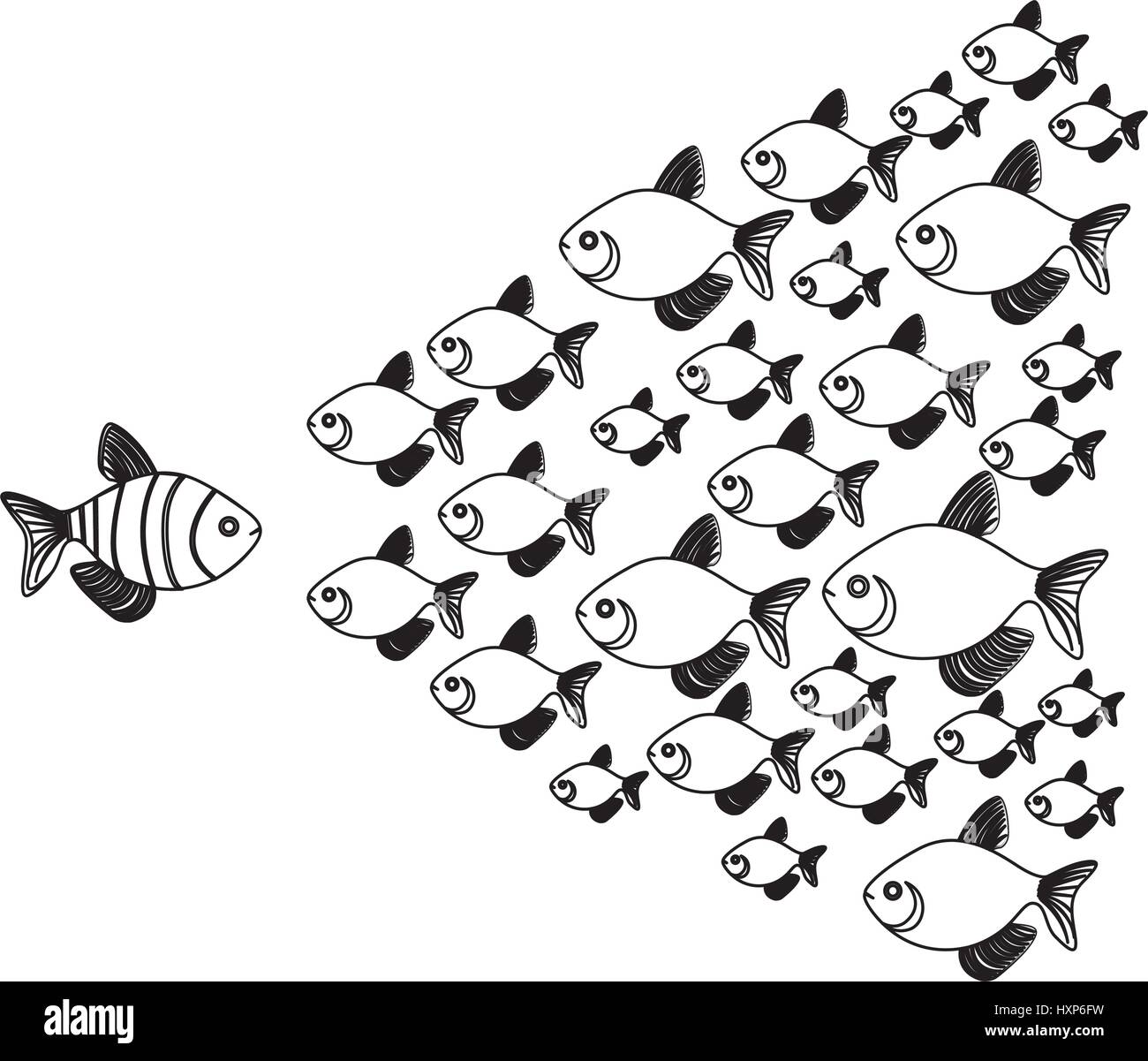 Coral shoal Black and White Stock Photos & Images - Alamy