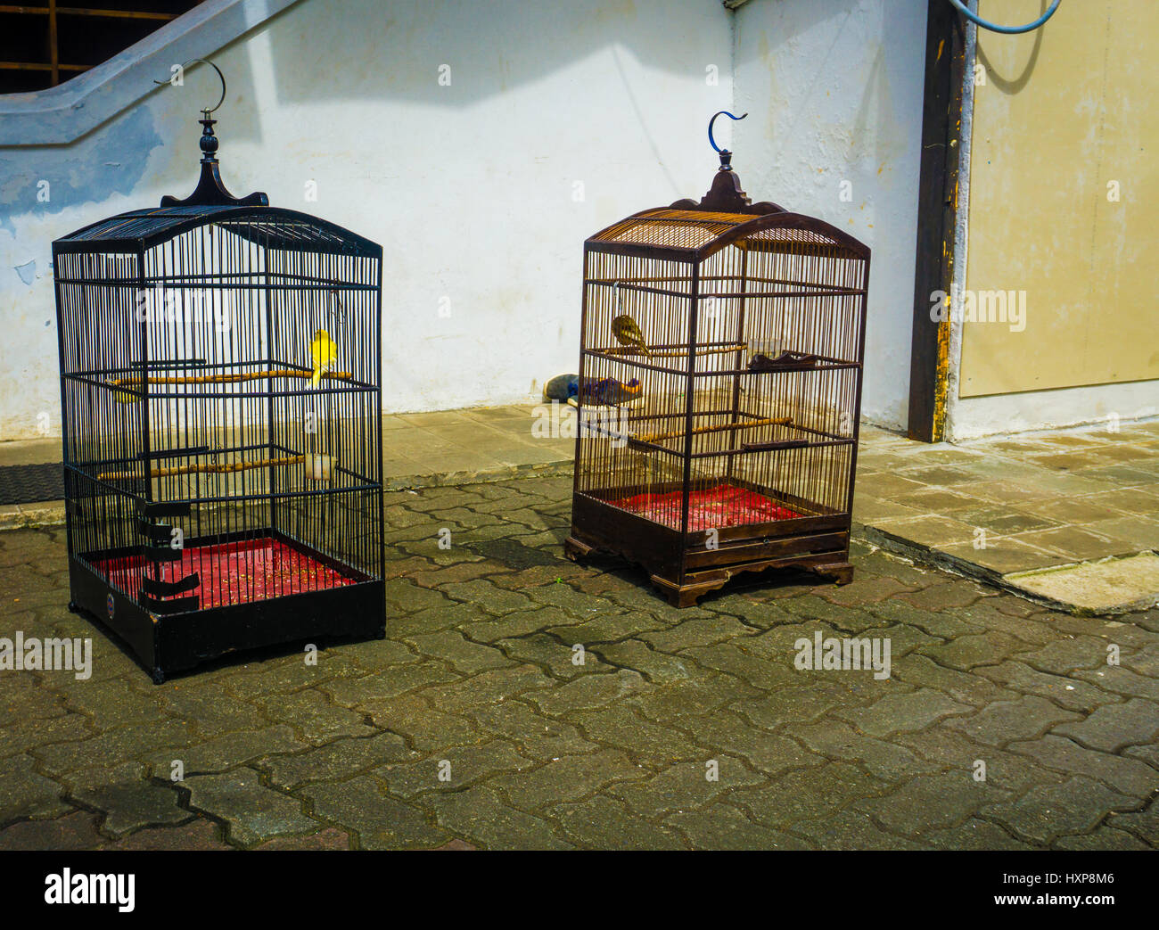 Birds in cage while sunbathing in front of house photo taken in Jakarta ...
