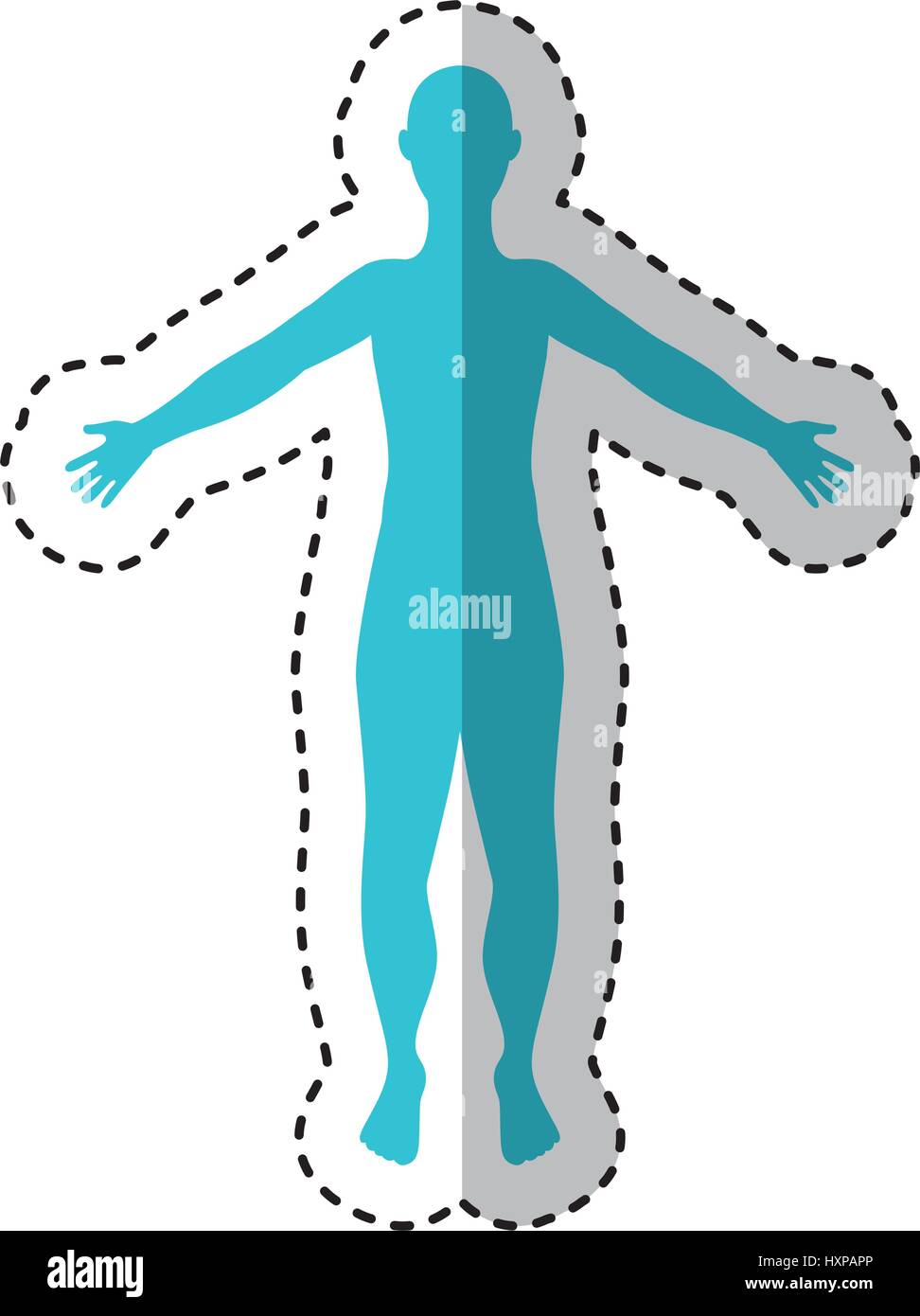 man anatomy silhouette isolated icon vector illustration design Stock ...