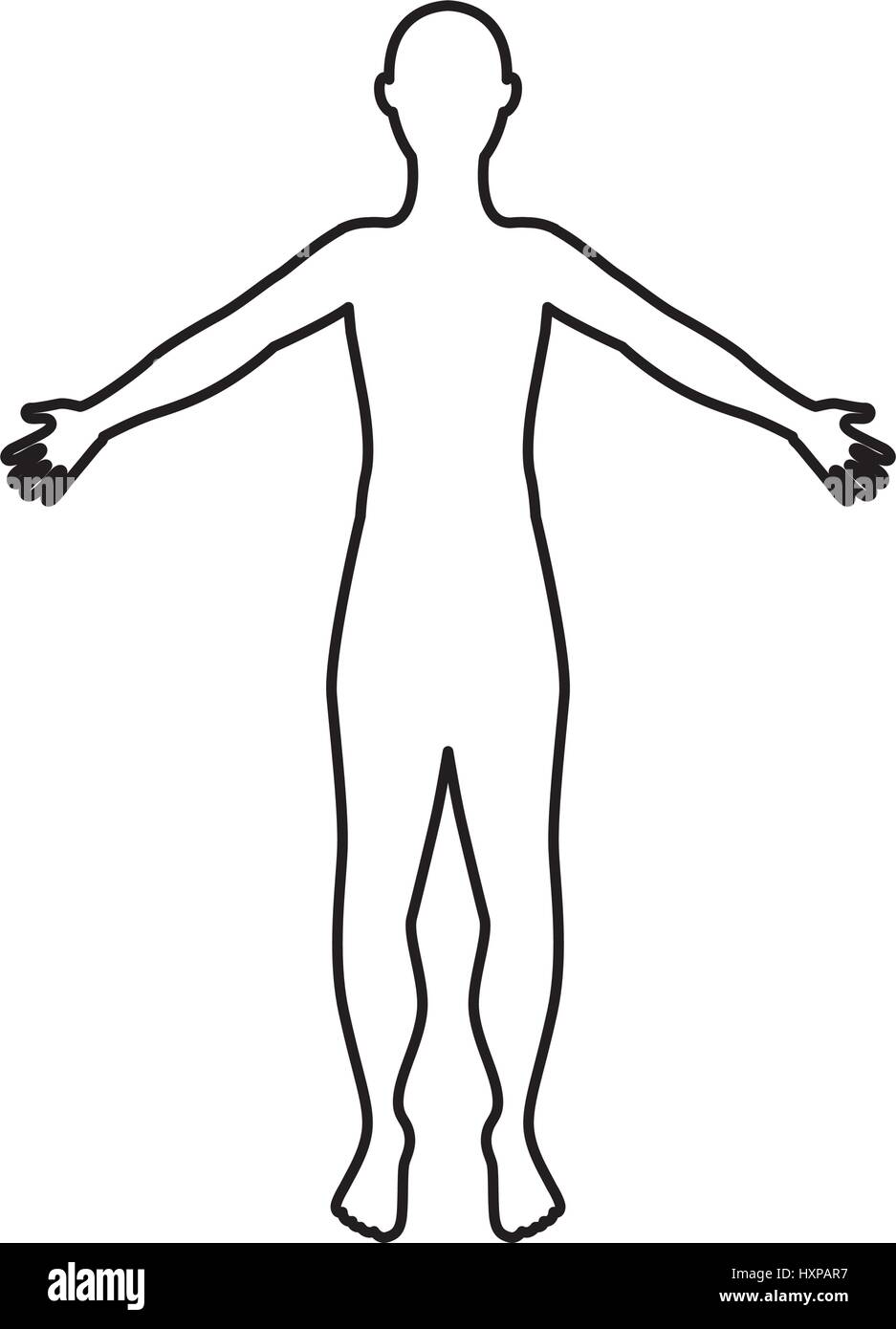 Human Outline Anatomy