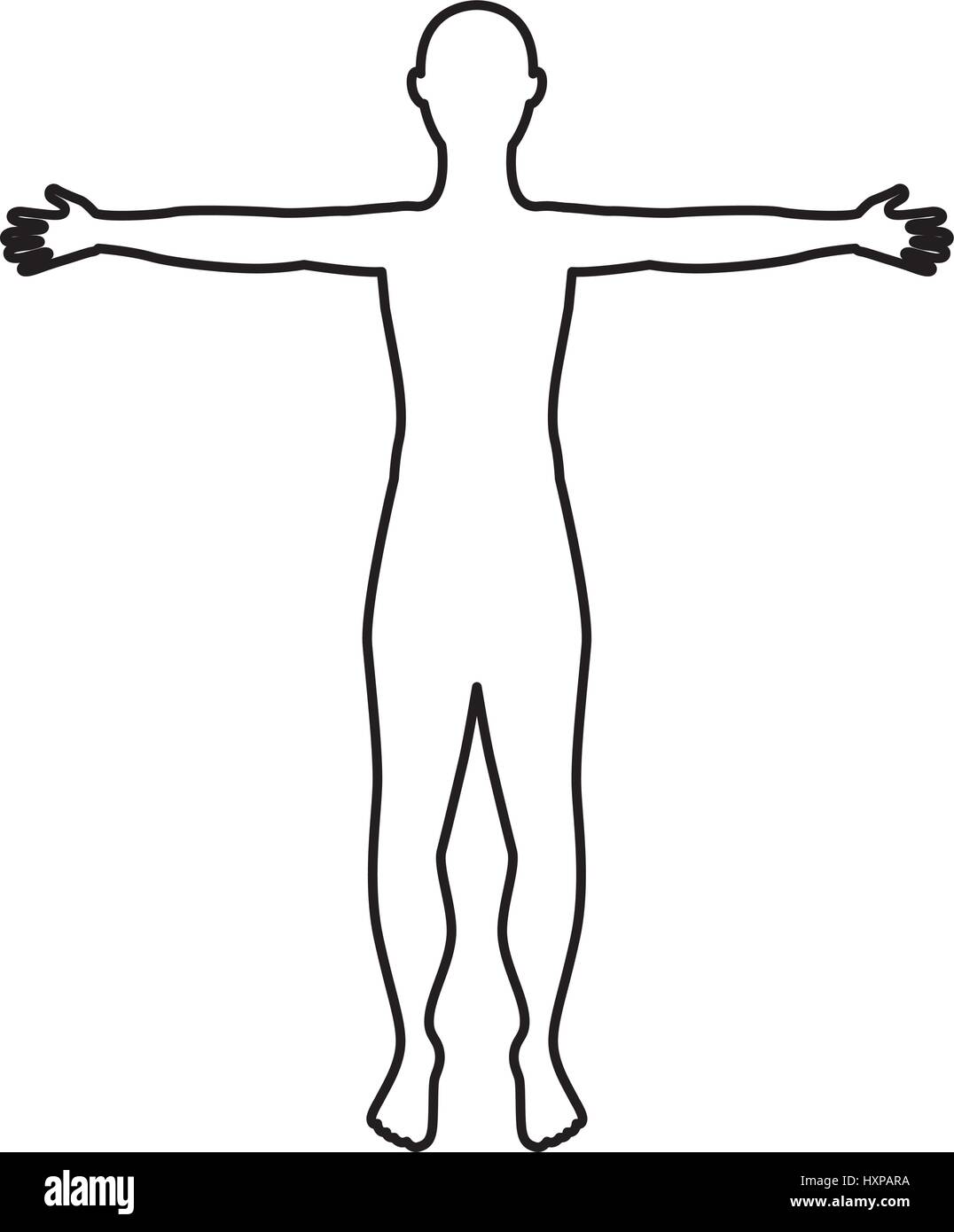 man anatomy silhouette isolated icon vector illustration design Stock ...