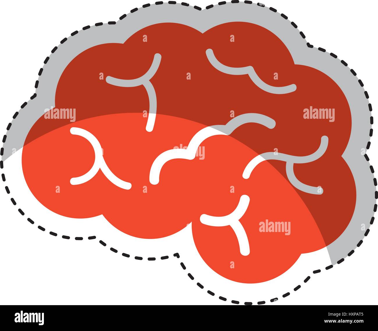 brain organ human icon vector illustration design Stock Vector Image ...