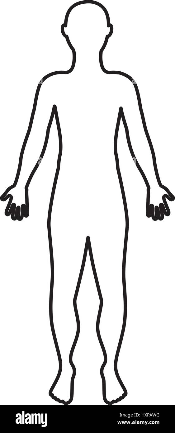 Human Outline Anatomy
