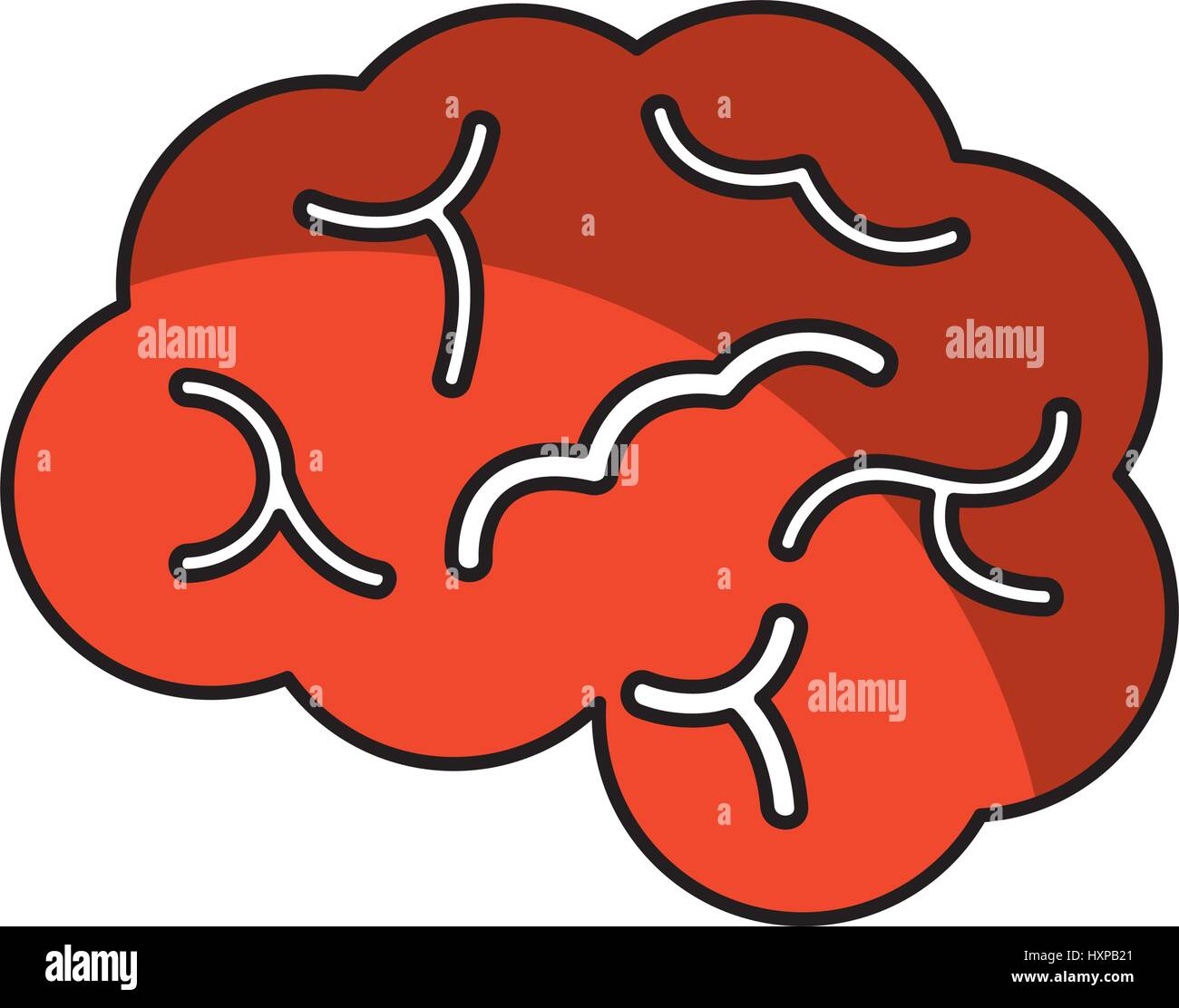 brain organ human icon vector illustration design Stock Vector Image ...