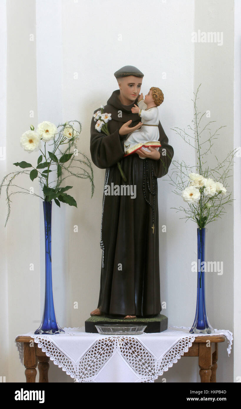 Saint Anthony of Padua statue on the altar in Parish Church of Holy Trinity in Hrvatska Dubica ...
